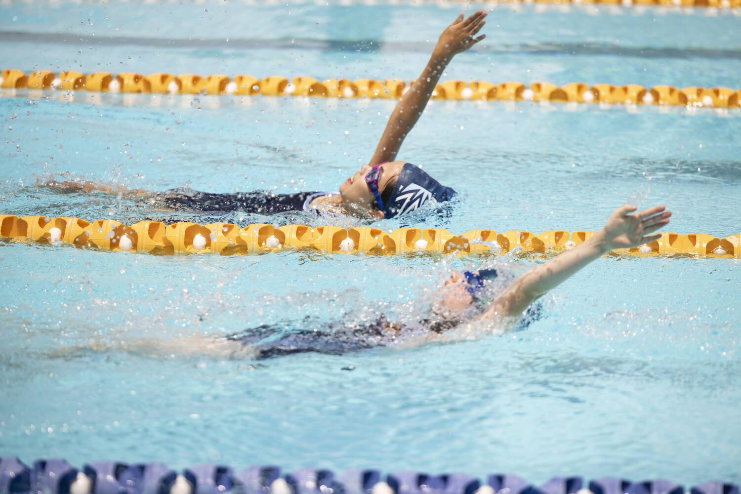 Sport | Sheldon College