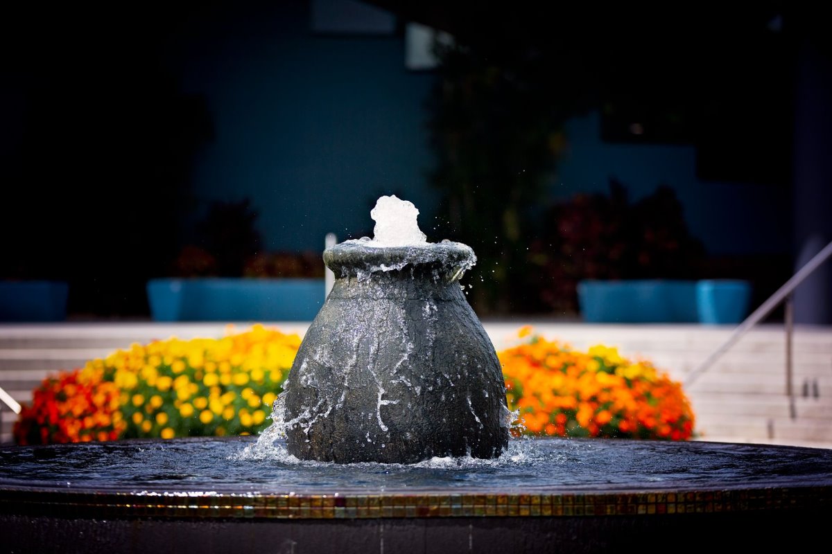 College Fees | Sheldon College